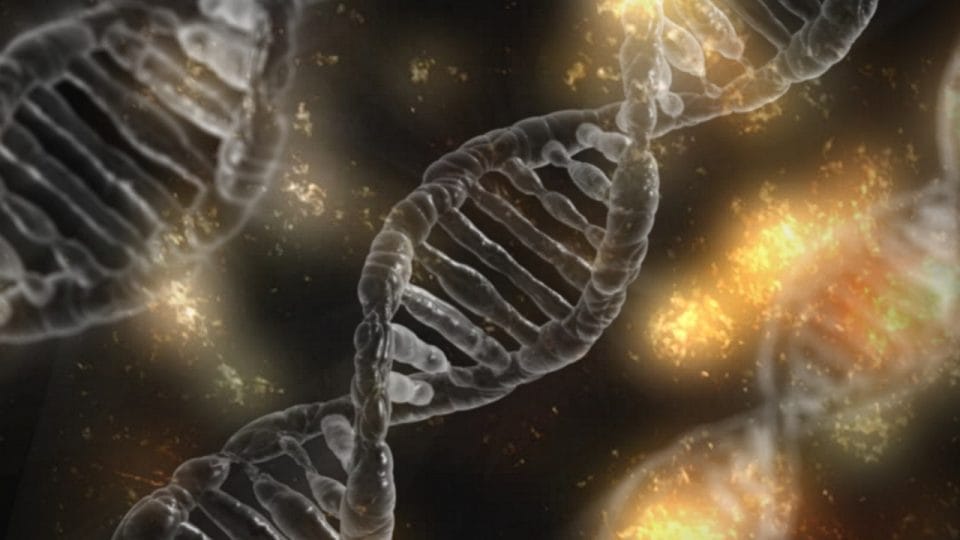 Scientists create the first semisynthetic life form with artificial DNA