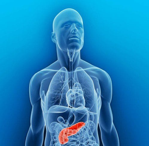 The first 'artificial pancreas' could be available in 2018