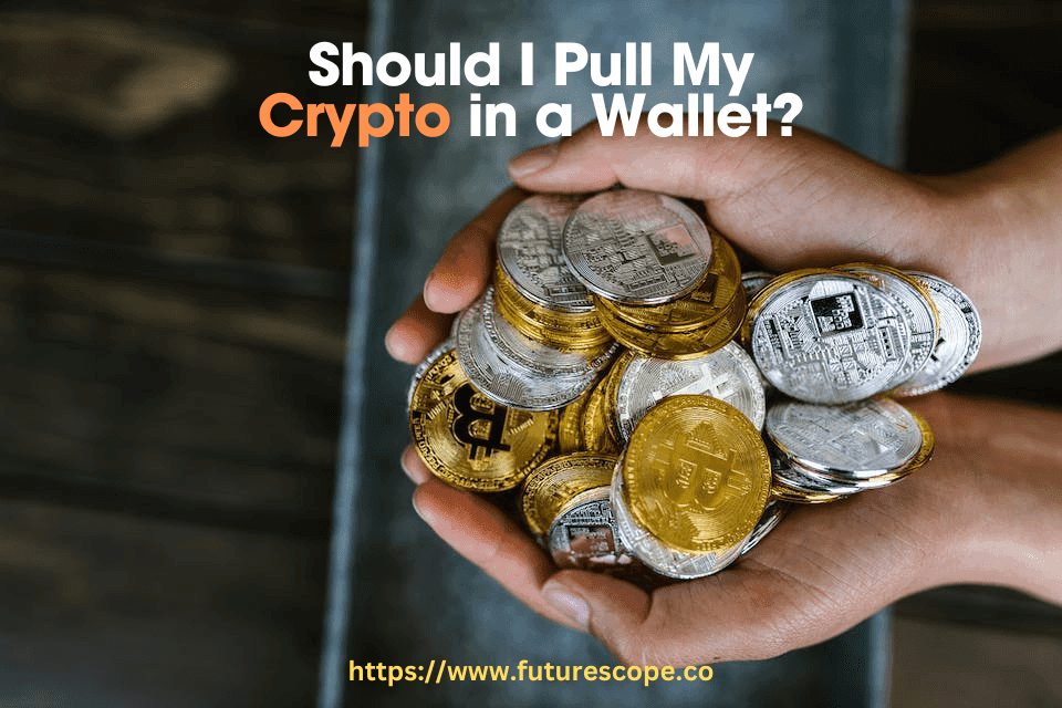 Should I Pull My Crypto in a Wallet?